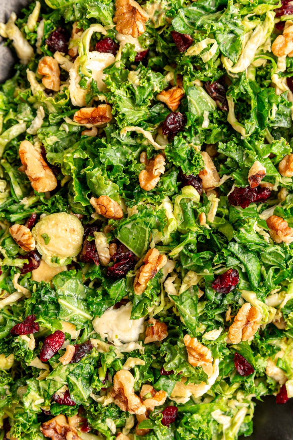 Vegan Kale Brussels Sprouts Cranberry Salad - At Elizabeth's Table